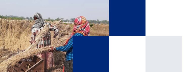 Recycling Strategy - Intueri Consulting